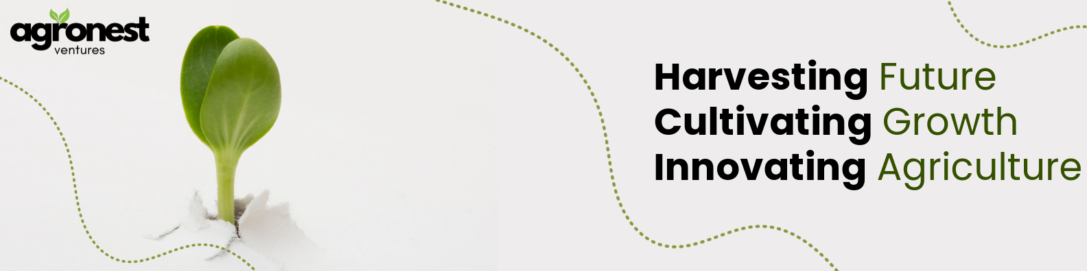 Exploring Sustainable Ethanol Alternatives: Millet in the Spotlight ...